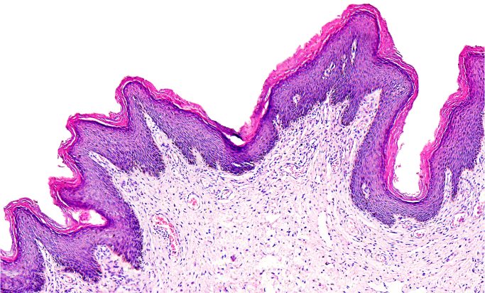 Learn more about Centaur Labs